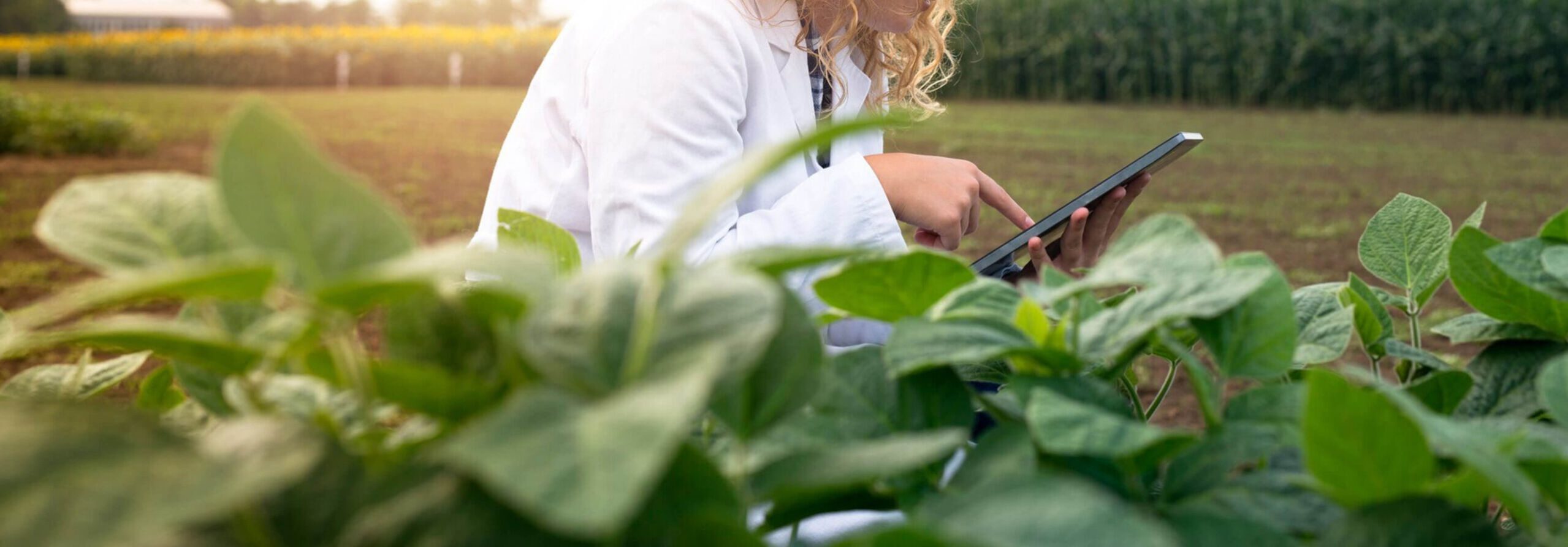 Smart-agro Genius - MACC